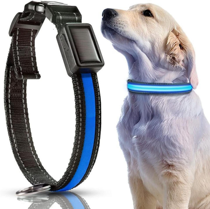 Collar que cambia de color con la luz solar antiparasito de perros ...