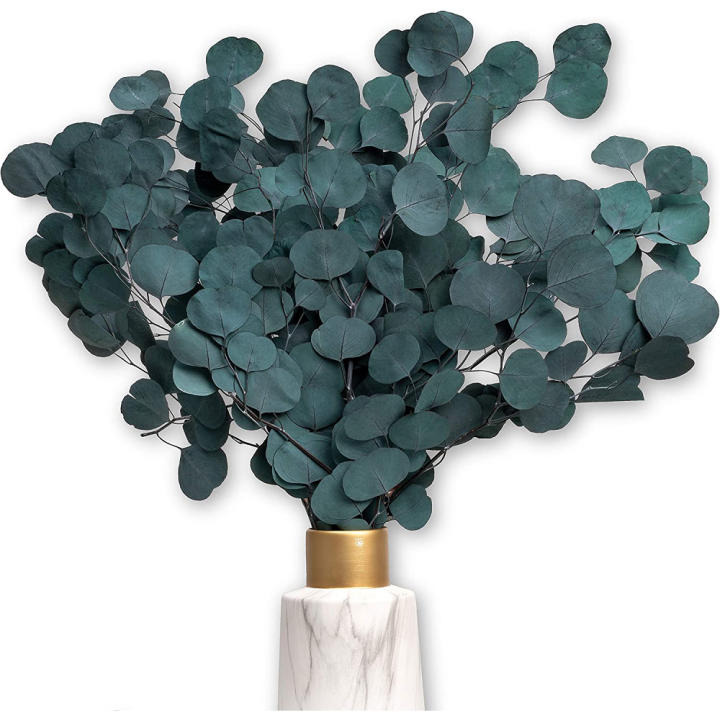 Flor seca natural - Envío Gratis* | Miravia