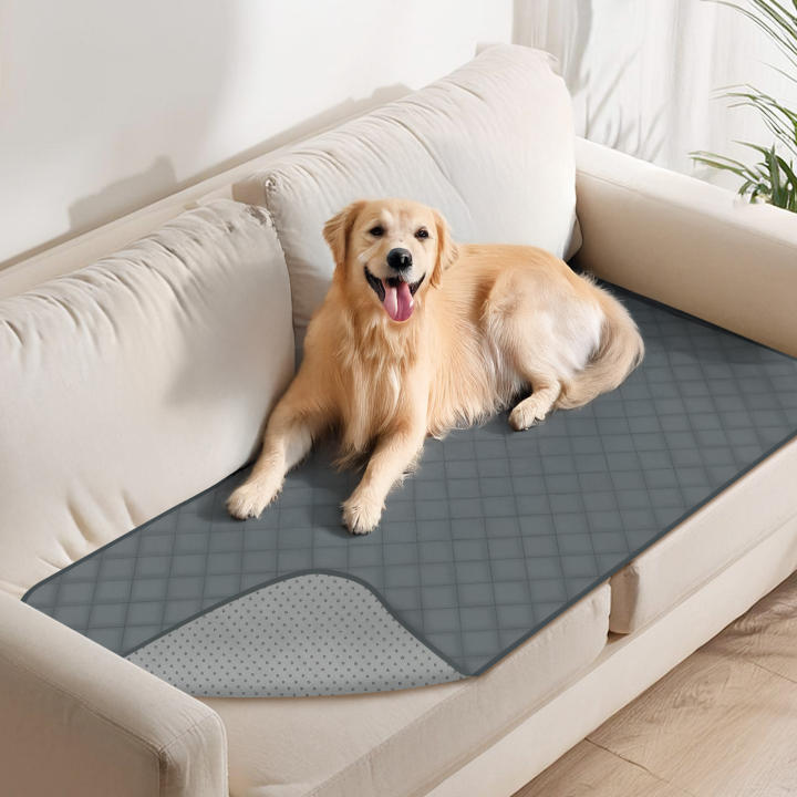 Colcha para perros - Envío Gratis* | Miravia